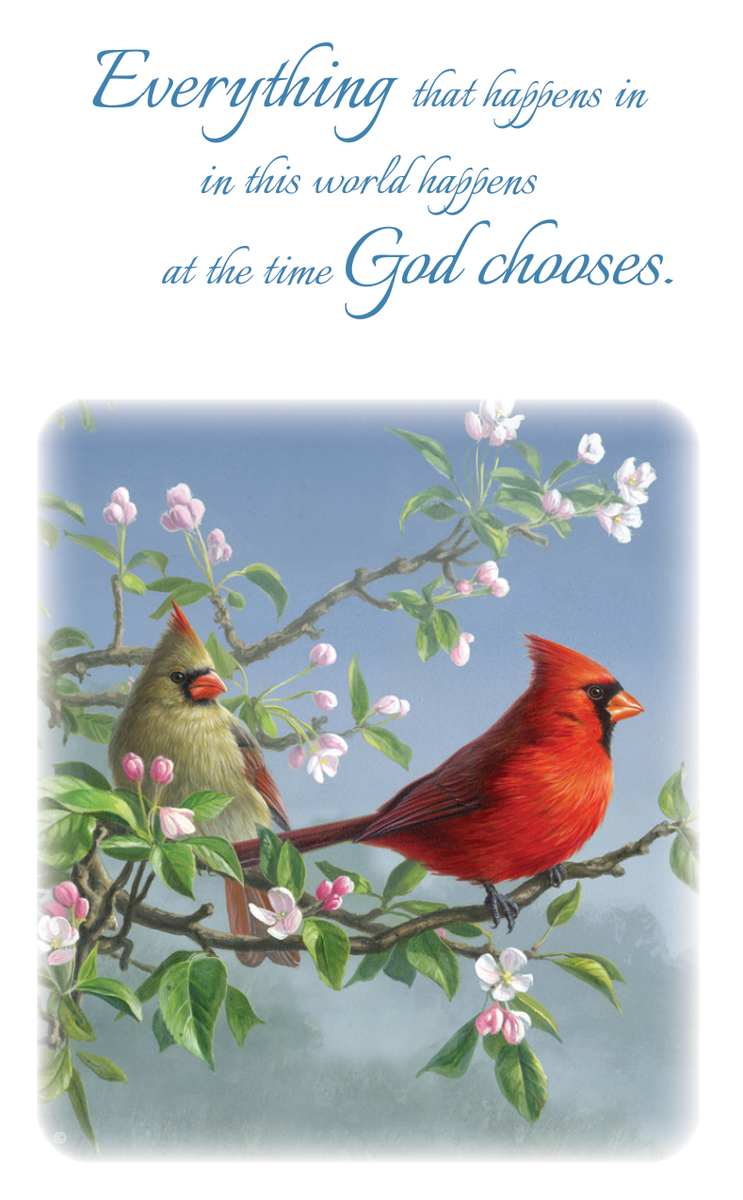 Premium Line Series Cardinal Prayer Card - STPR105-PC| Infinityurns