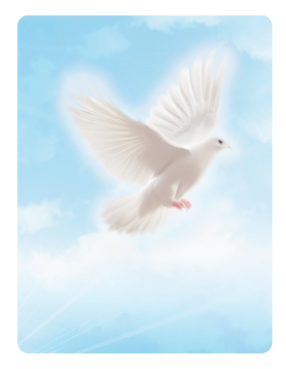 Premium Line Series Flying Dove Service Record - STPR106-SR| Infinityurns